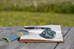 Beach Pebble Paperweight